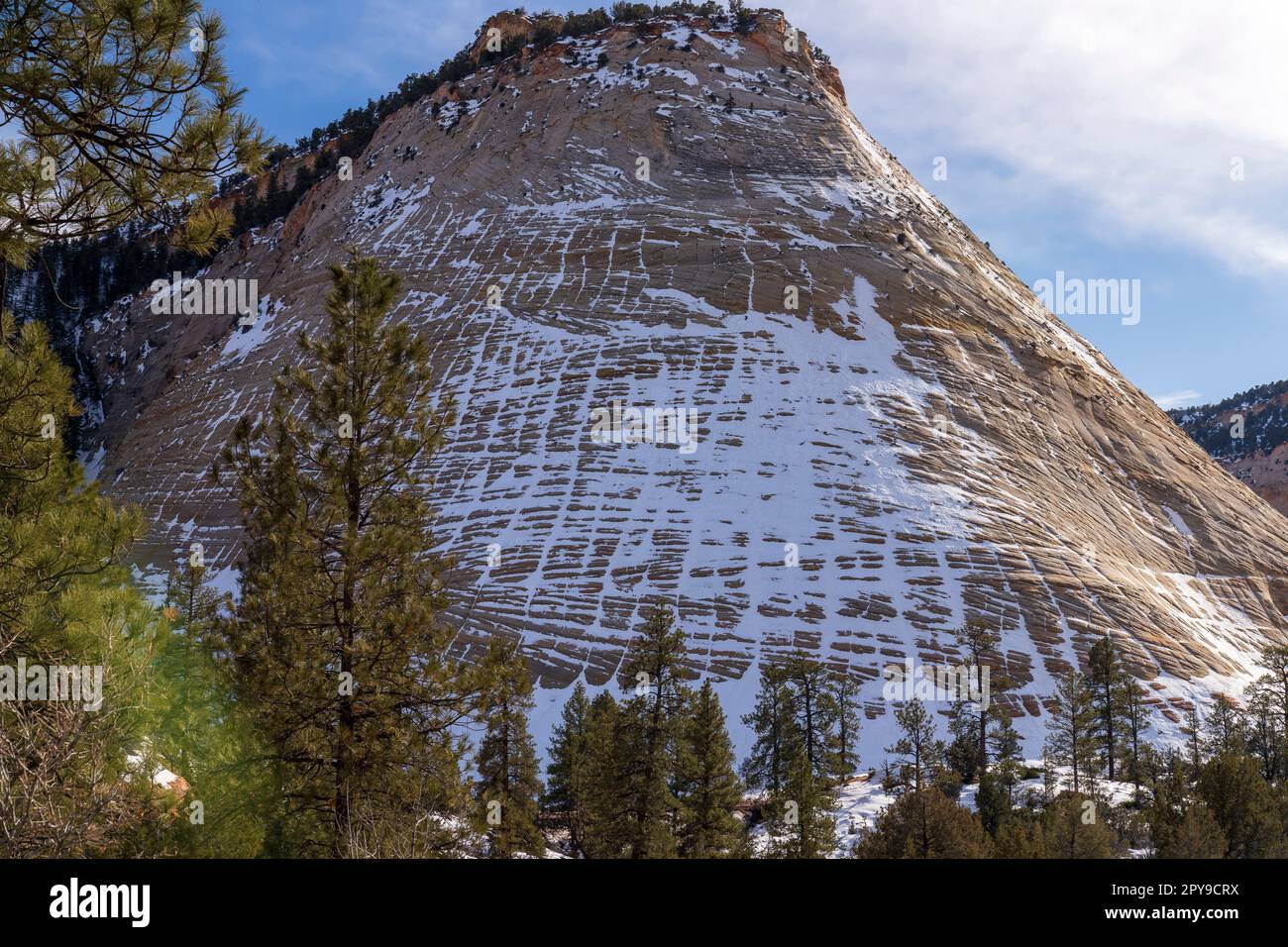 The Checkerboard Mesa in Zion National Park Stock Photo - Alamy