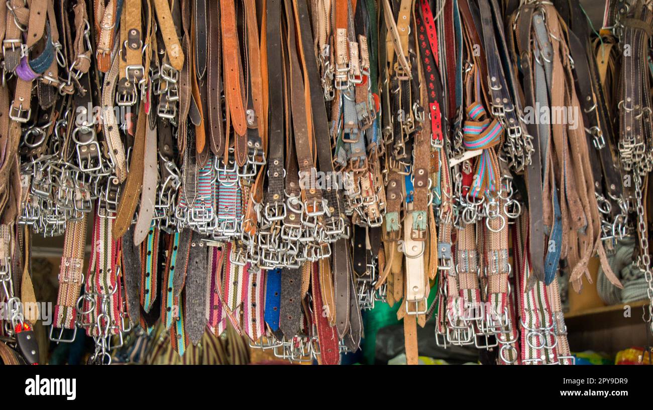Belts with buckles as element of clothing design Stock Photo - Alamy