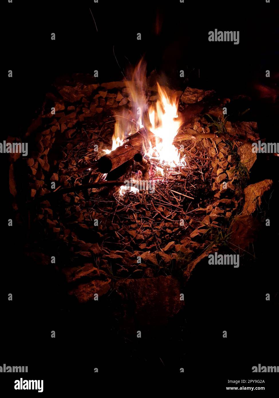 Night bonfire in nature Stock Photo - Alamy