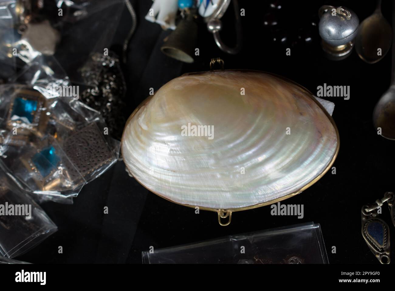 The pearl shell as a sea shell object in view Stock Photo - Alamy