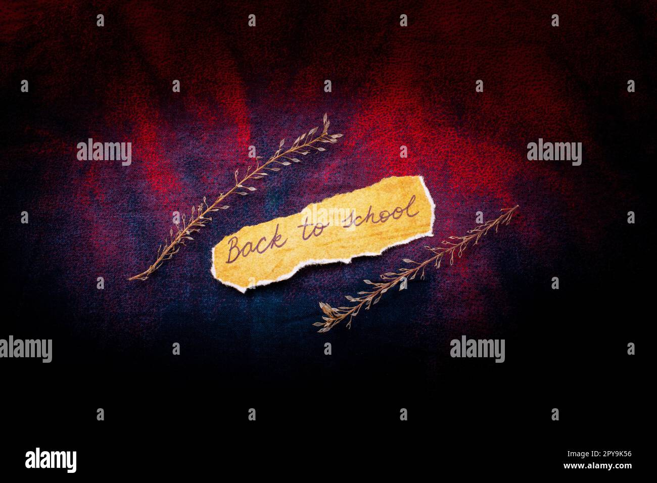 Back to school wording on a piece of torn paper Stock Photo - Alamy