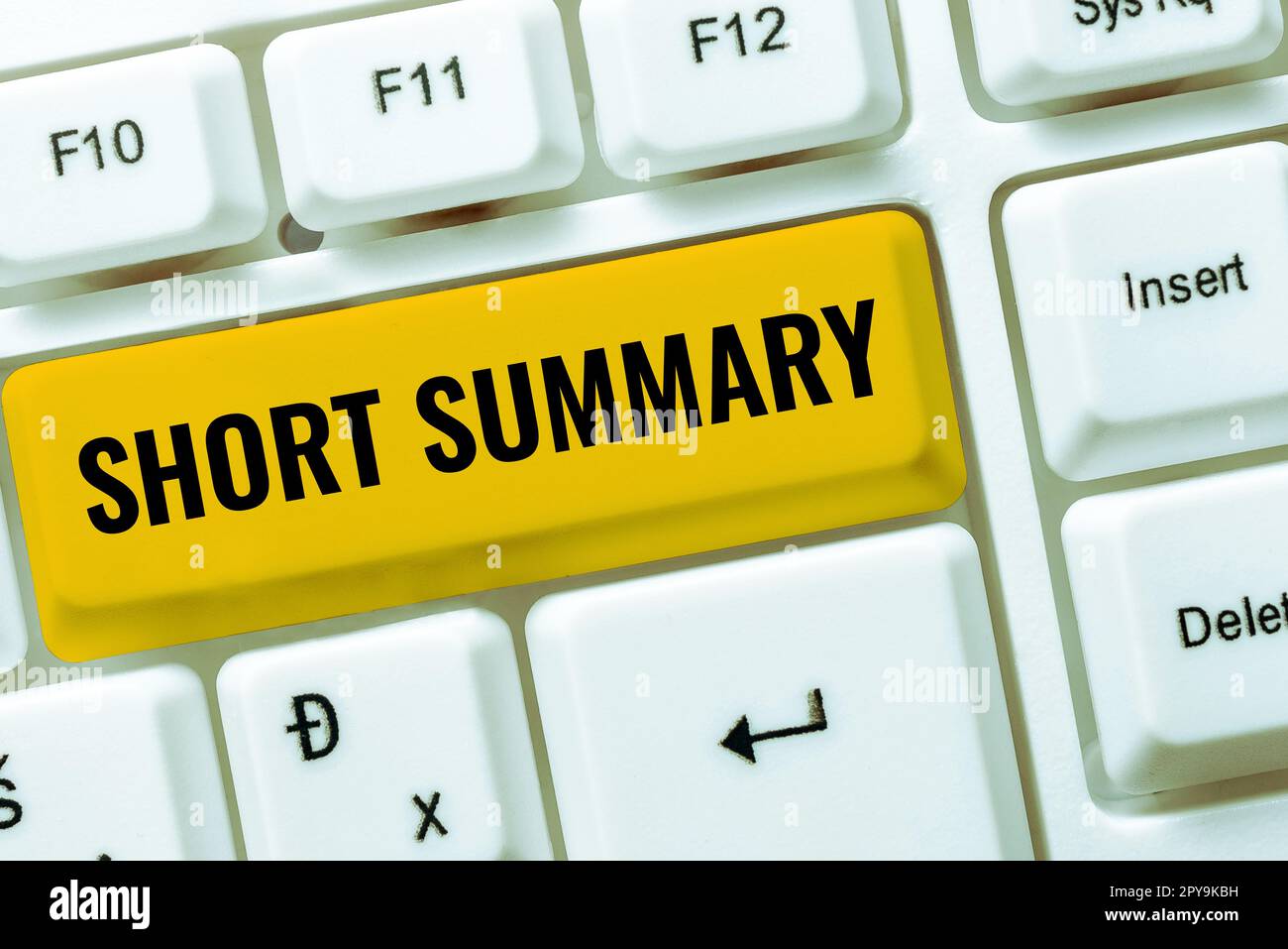 Conceptual display Short Summary. Business idea Brief statement of main ...