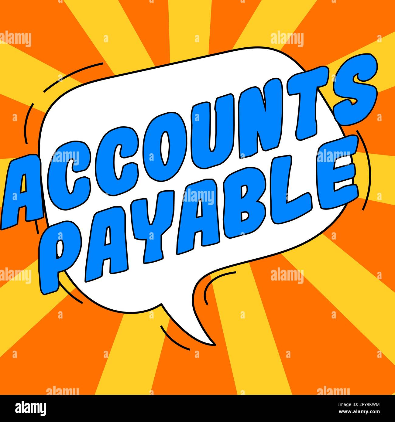 Text sign showing Accounts Payable. Business concept money owed by a ...