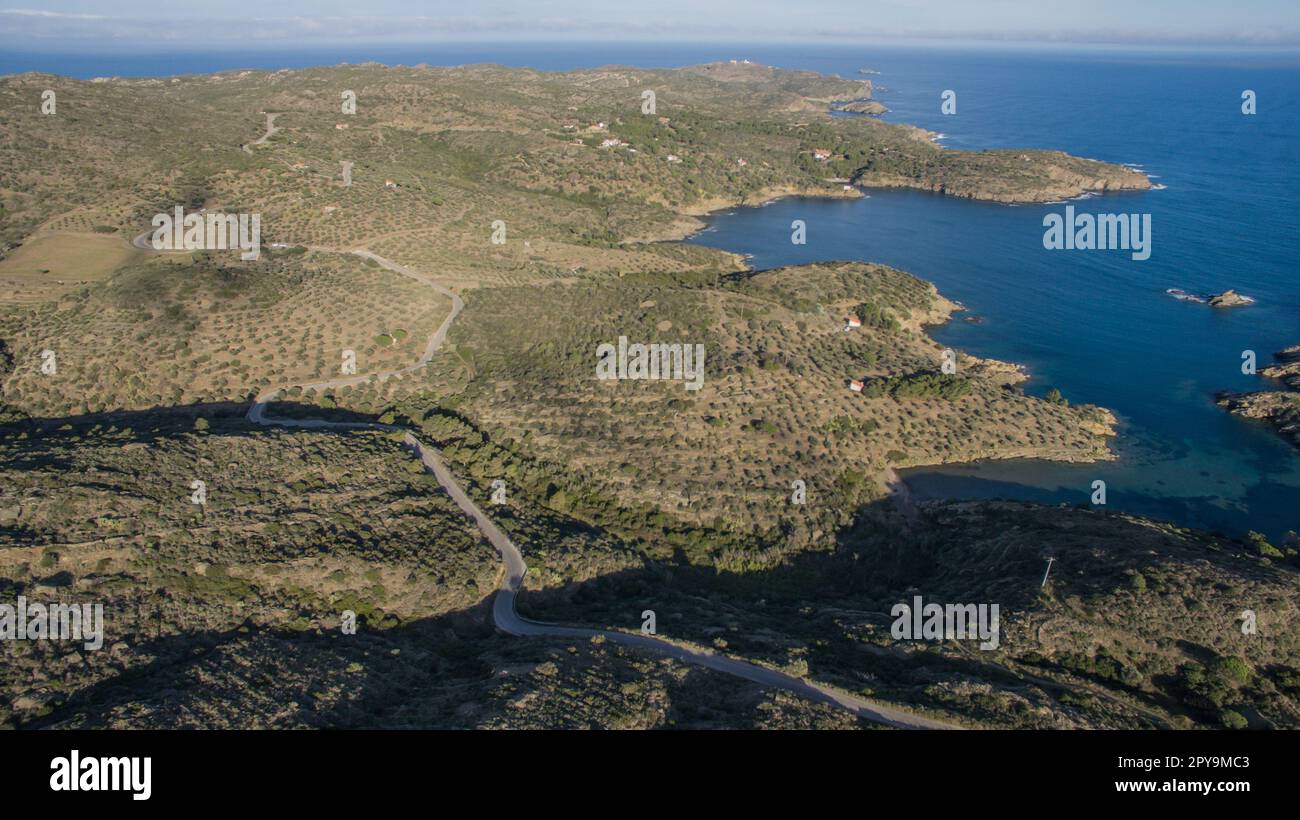 aerial view of the olive groves of cape de creus Stock Photo - Alamy