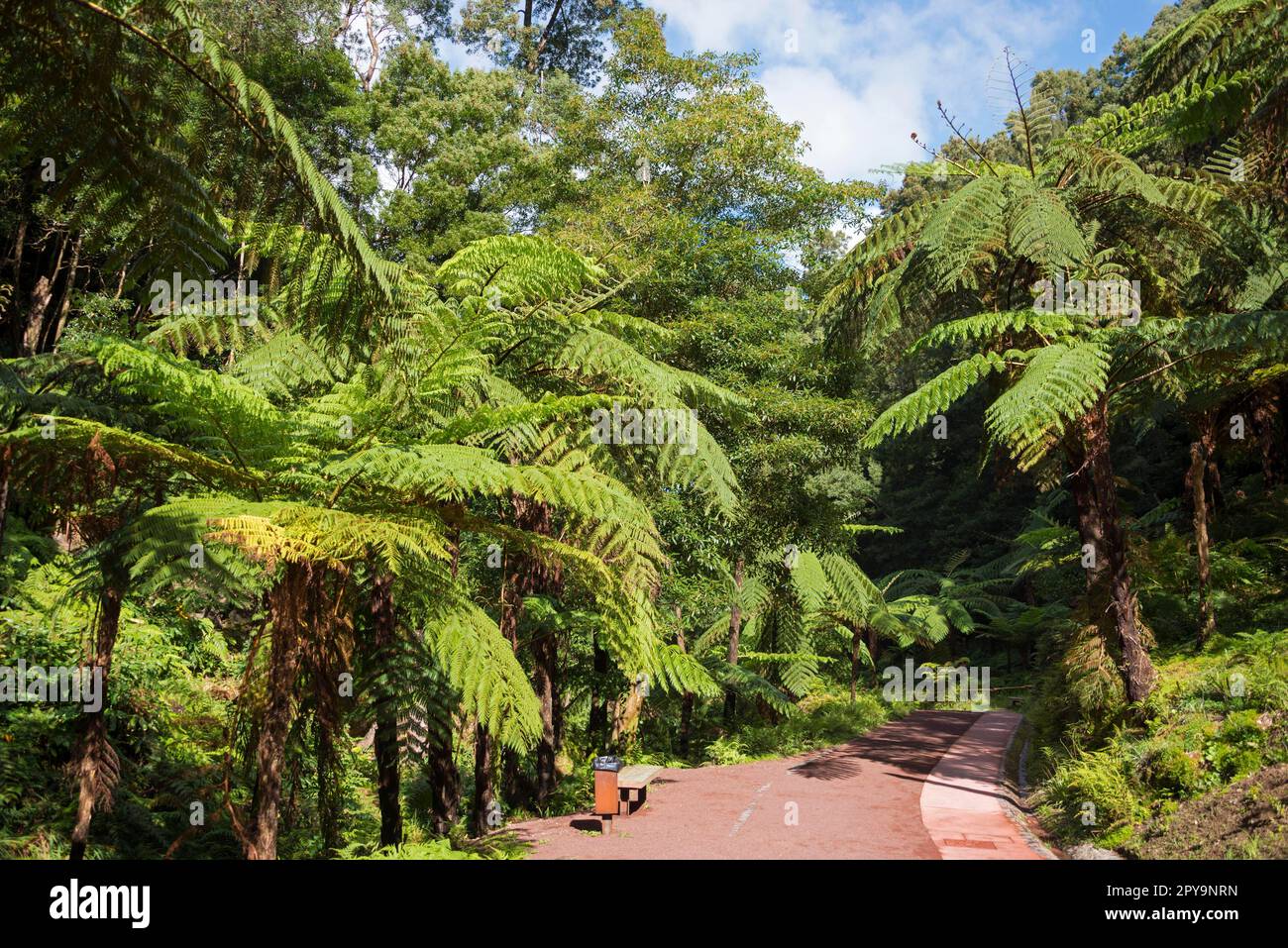 Caldera (Caldeira) Velha, Sao Miguel, Azores, Portugal Stock Photo - Alamy