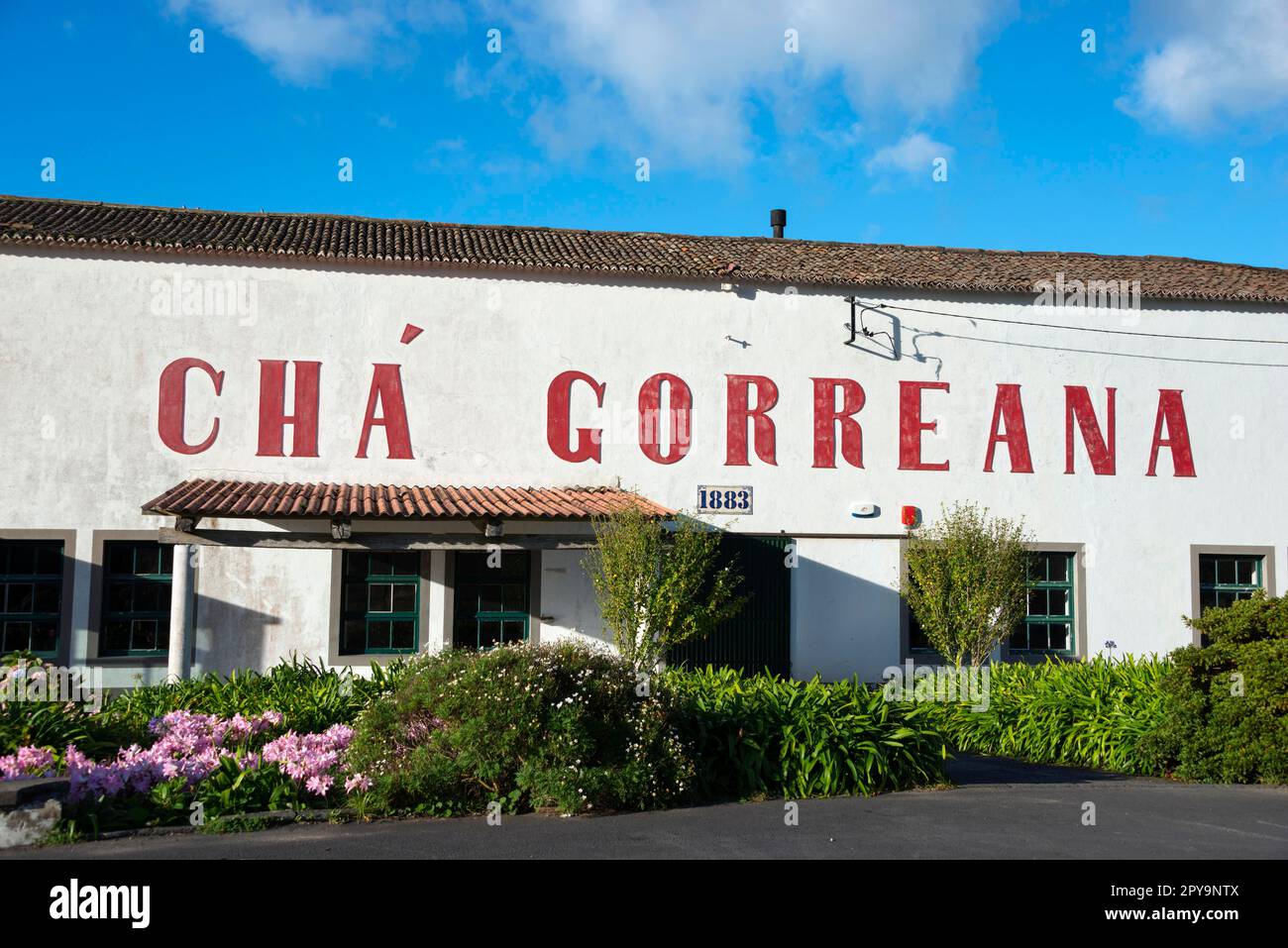 Tea Factory, Cha Gorreana, Maia, Sao Miguel, Azores, Portugal Stock ...