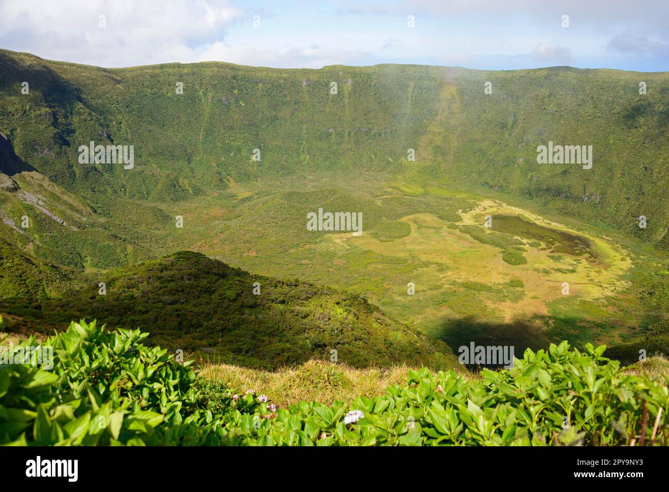 Faial caldeira hi-res stock photography and images - Alamy