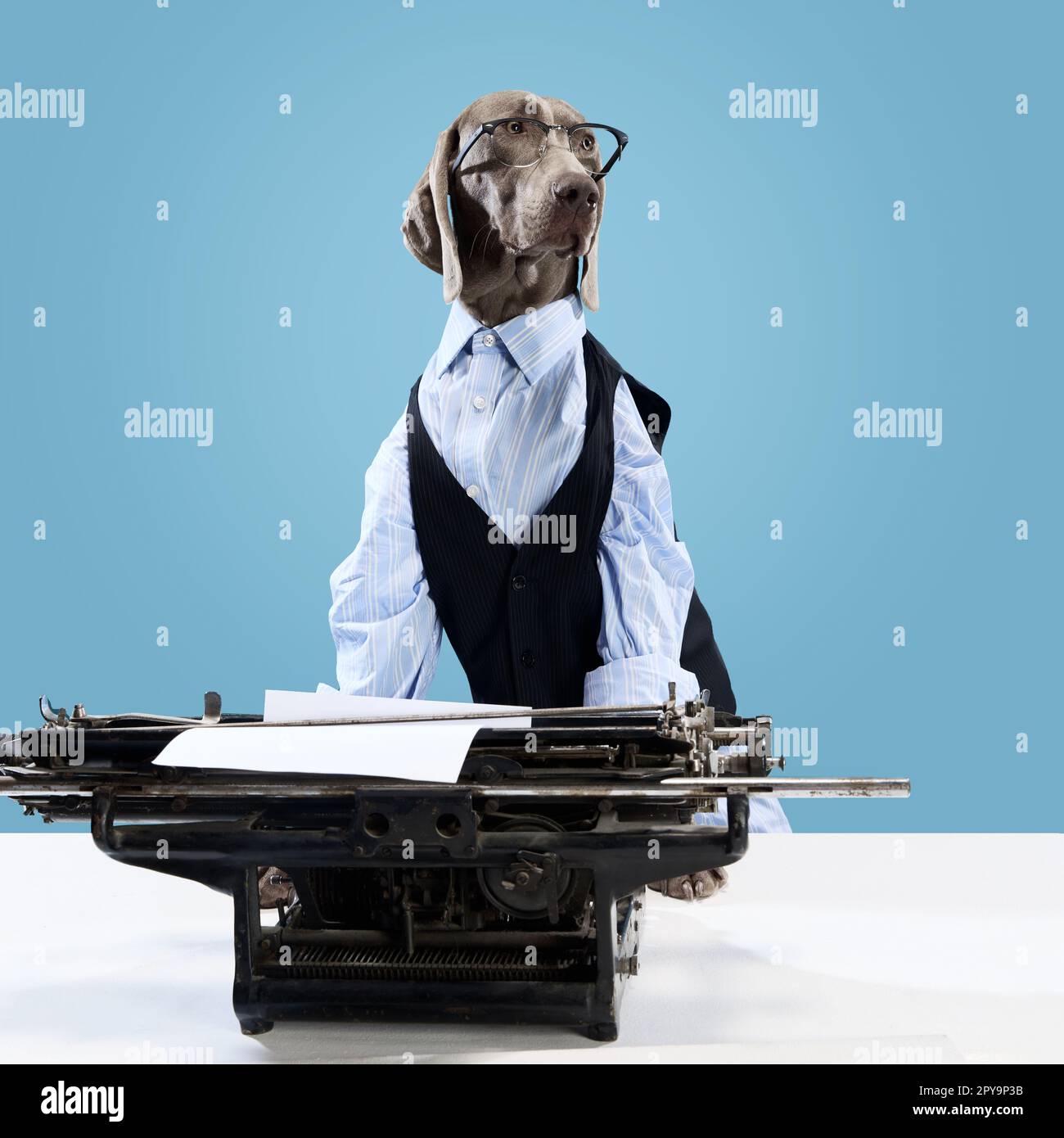 Funny Dog Pics With Guns