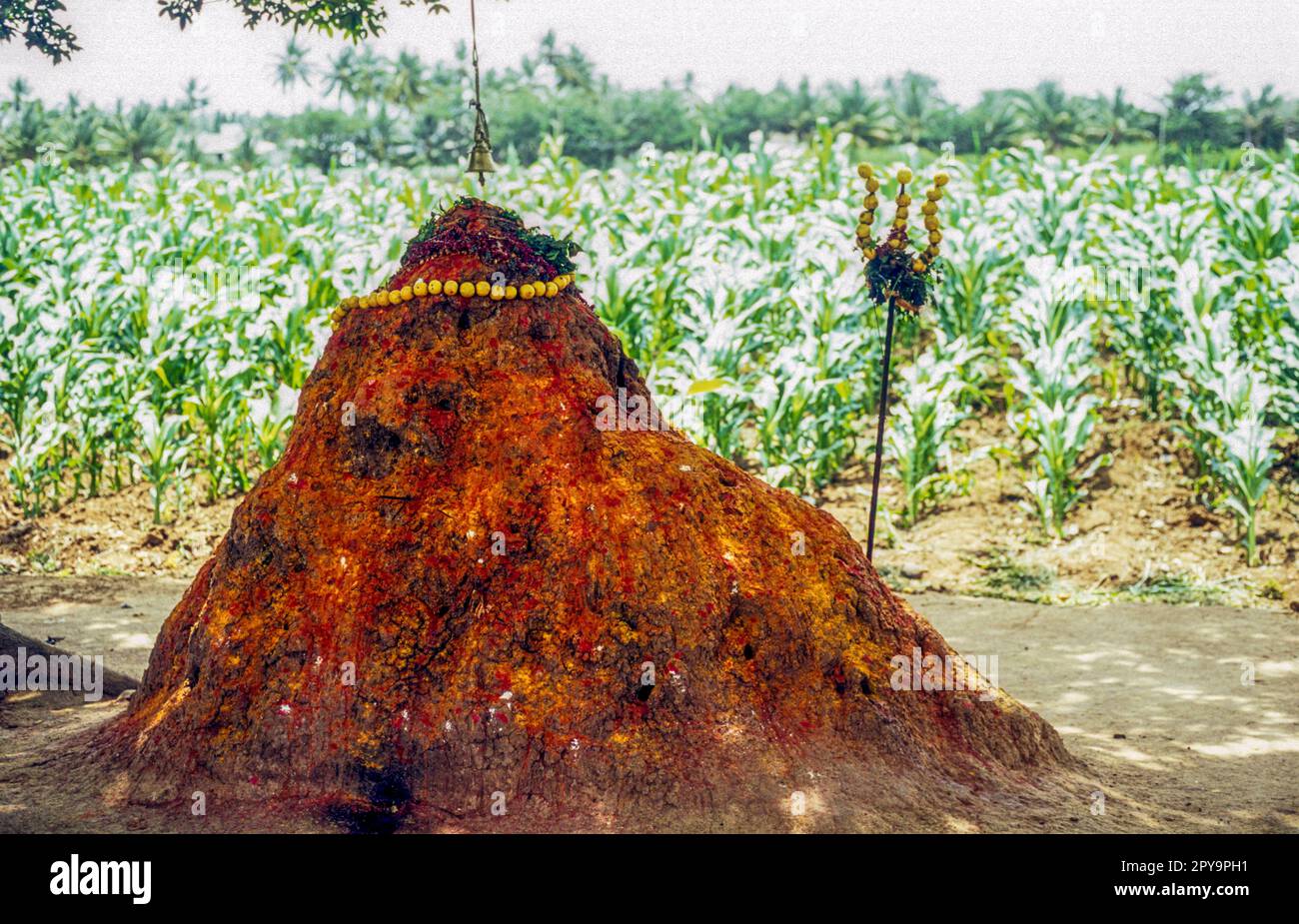 White ant hill putru, Tamil Nadu, South India, India, Asia Stock Photo ...