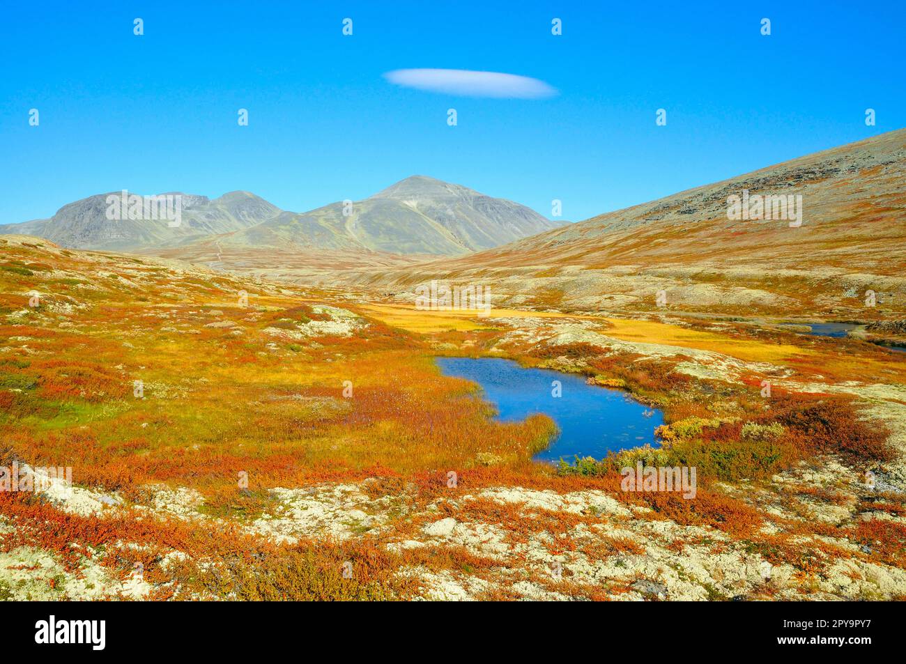 Rondane National Park, Norway Stock Photo - Alamy