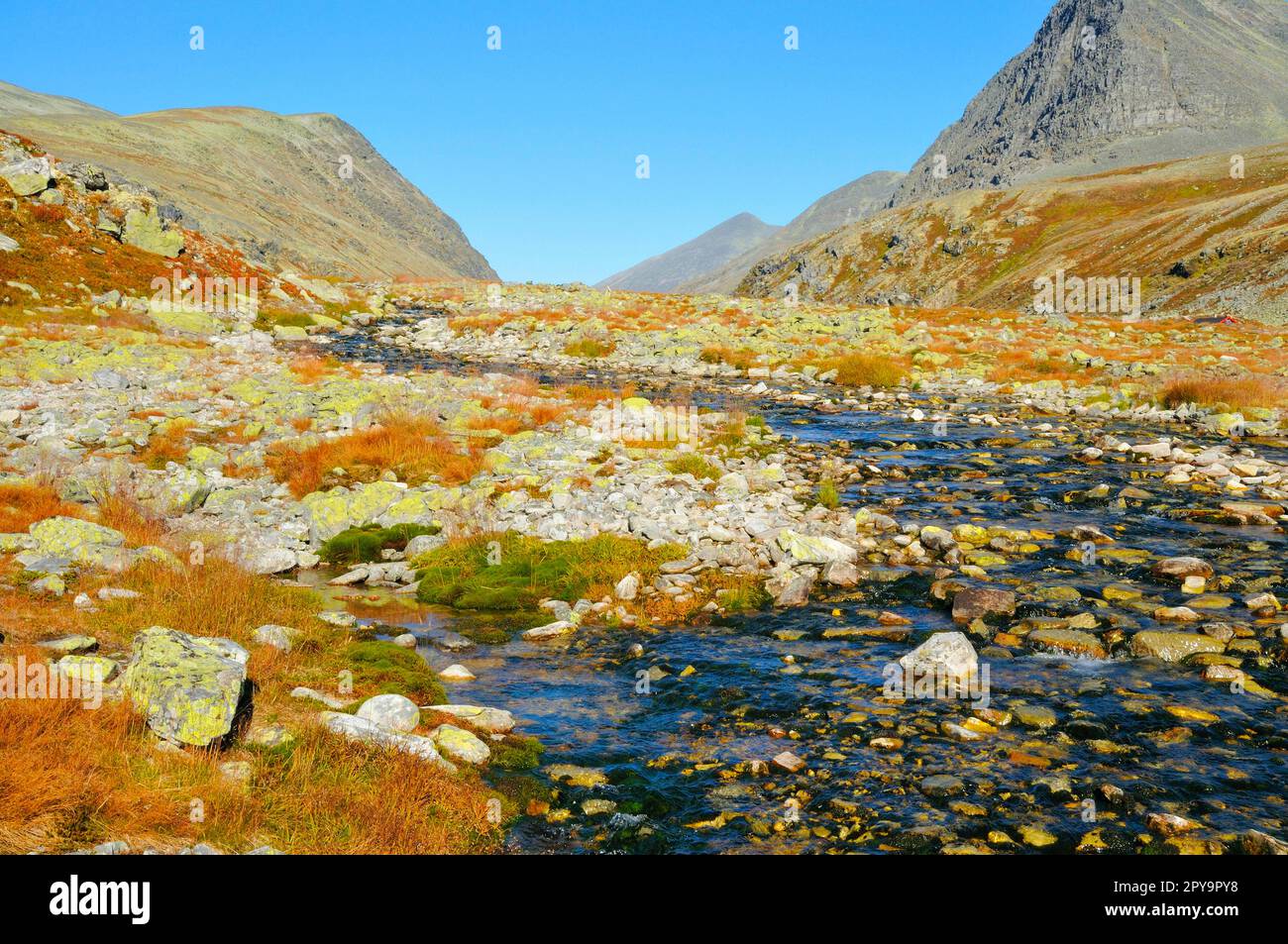 Rondane National Park, Norway Stock Photo - Alamy