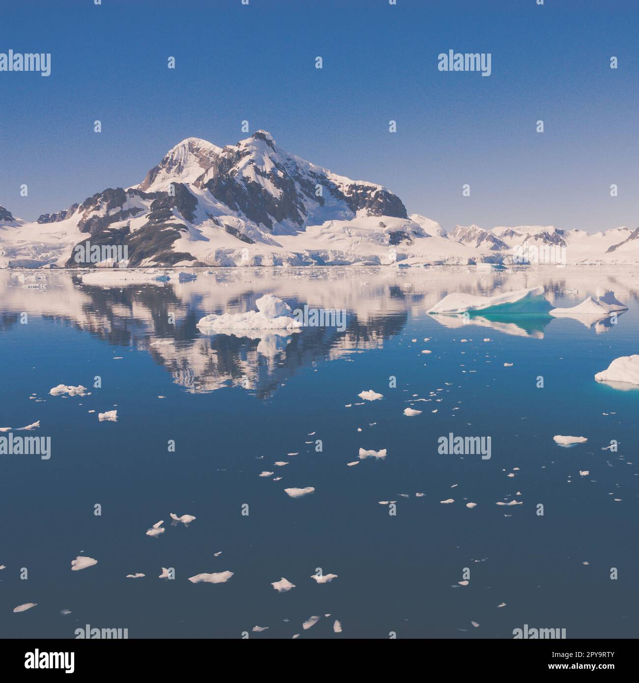 Antarctic marine ecosystem hi-res stock photography and images - Alamy