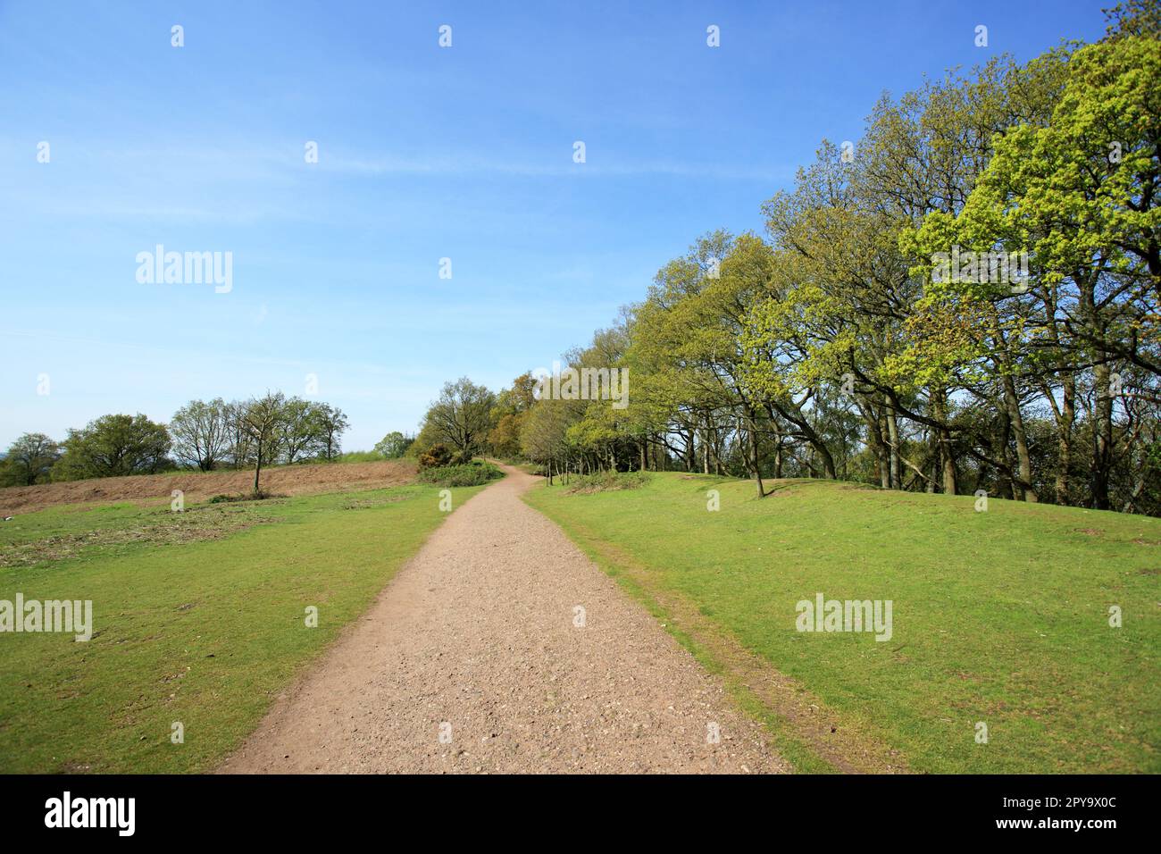 Kinver edge hillfort hi-res stock photography and images - Alamy