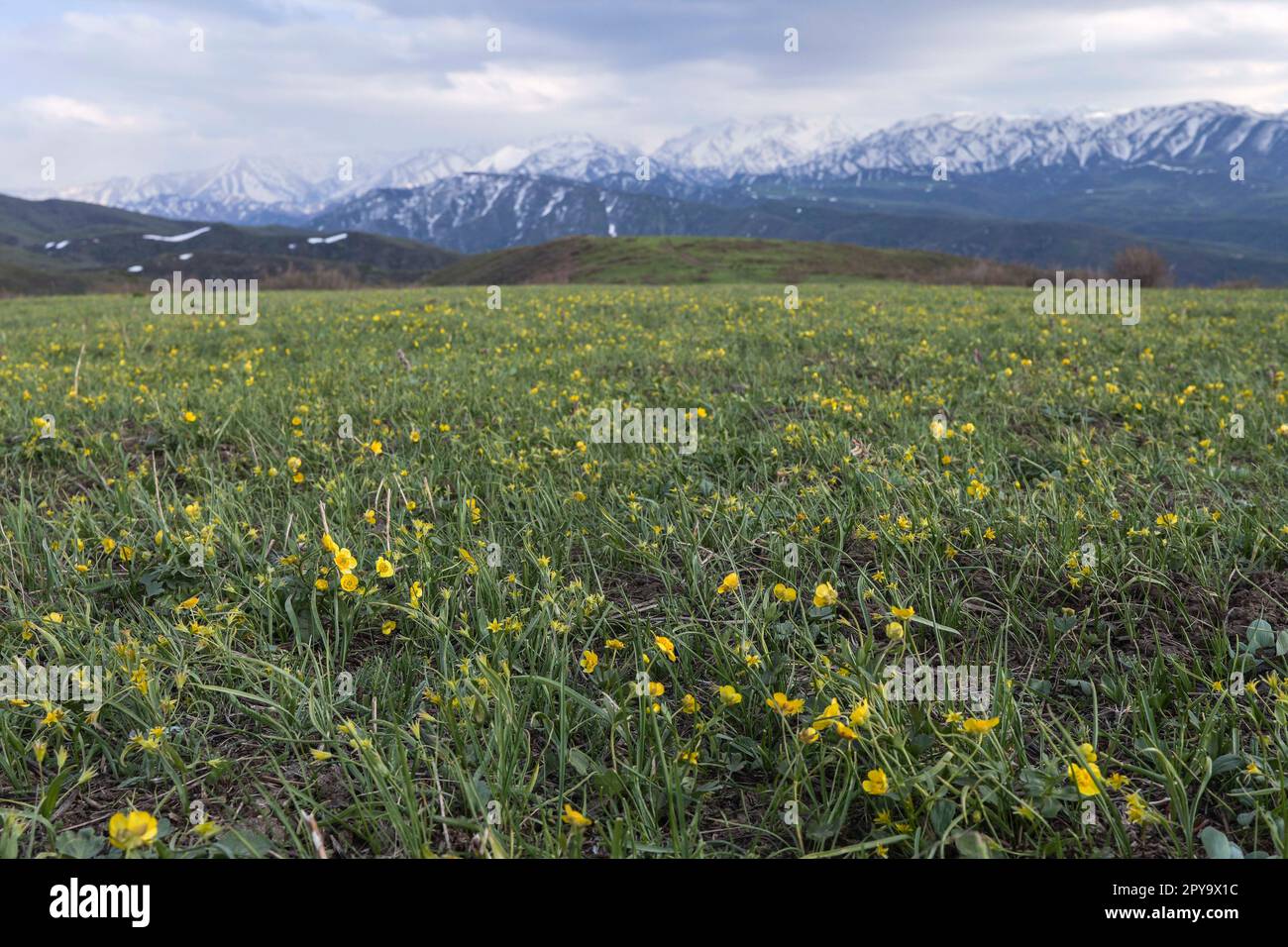 Yumin county hi-res stock photography and images - Alamy