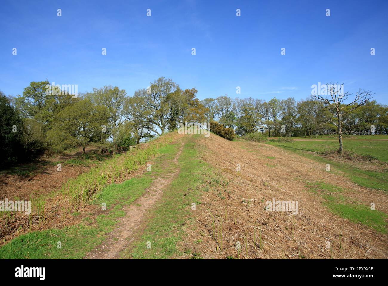 Kinver edge iron age hillfort ramparts and ditch Stock Photo - Alamy