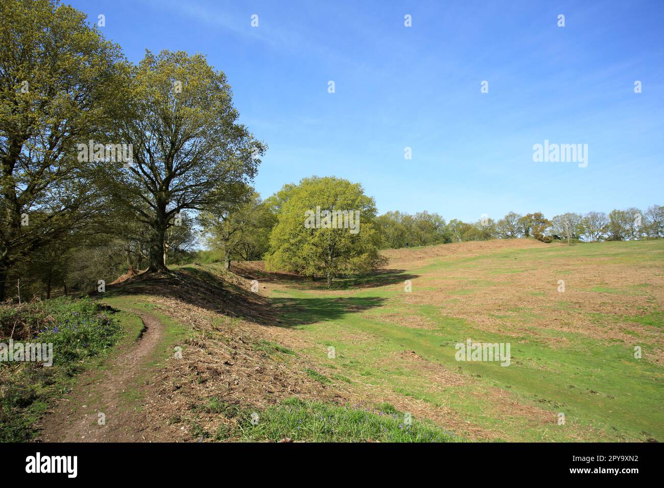 Kinver edge iron age hillfort ramparts and ditch Stock Photo - Alamy