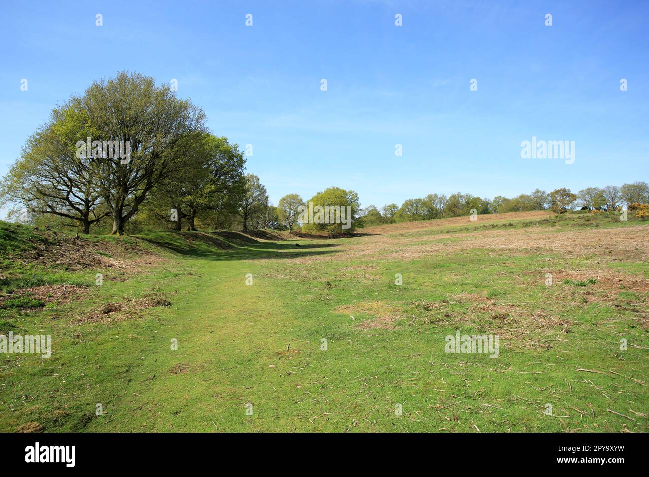 Kinver edge iron age hillfort ramparts and ditch Stock Photo - Alamy