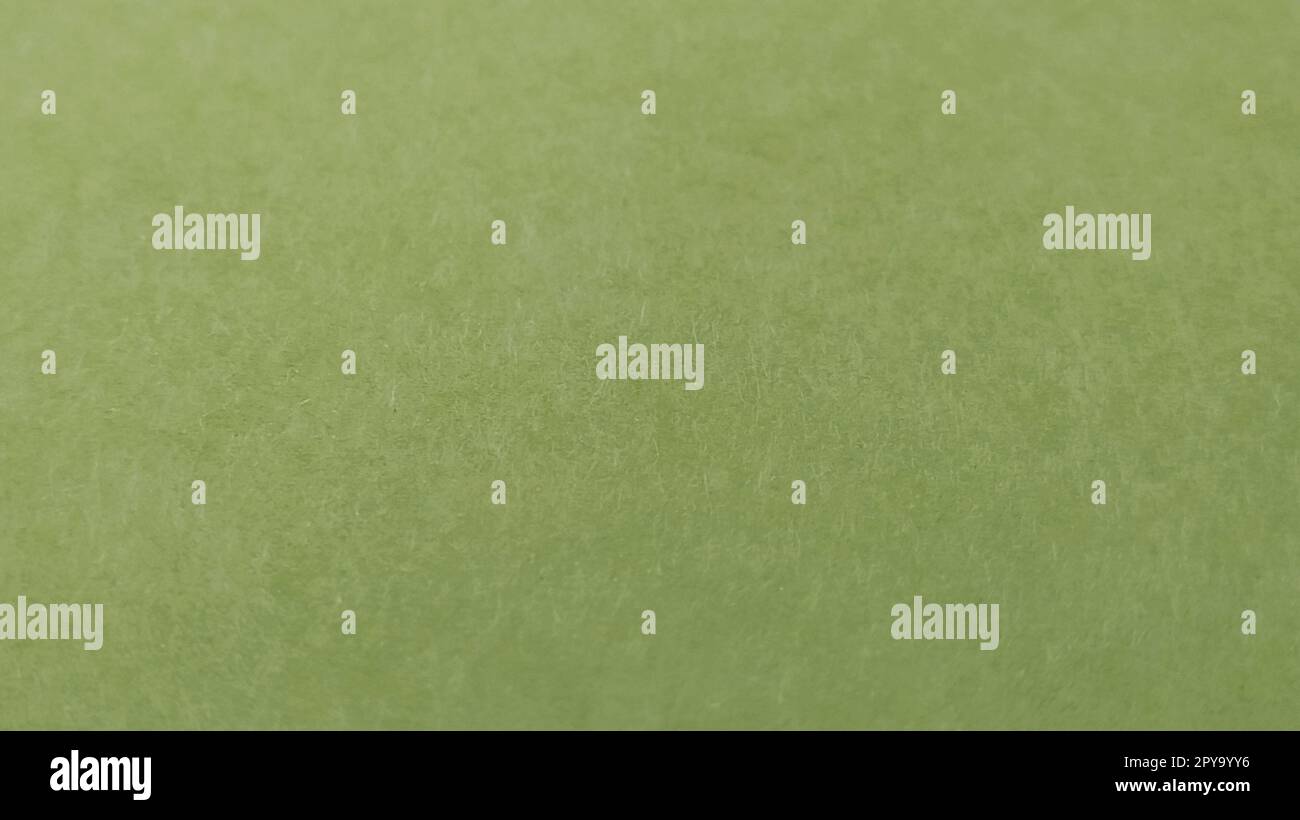 A sheet of light green paper. Calm green with fine paper texture ...