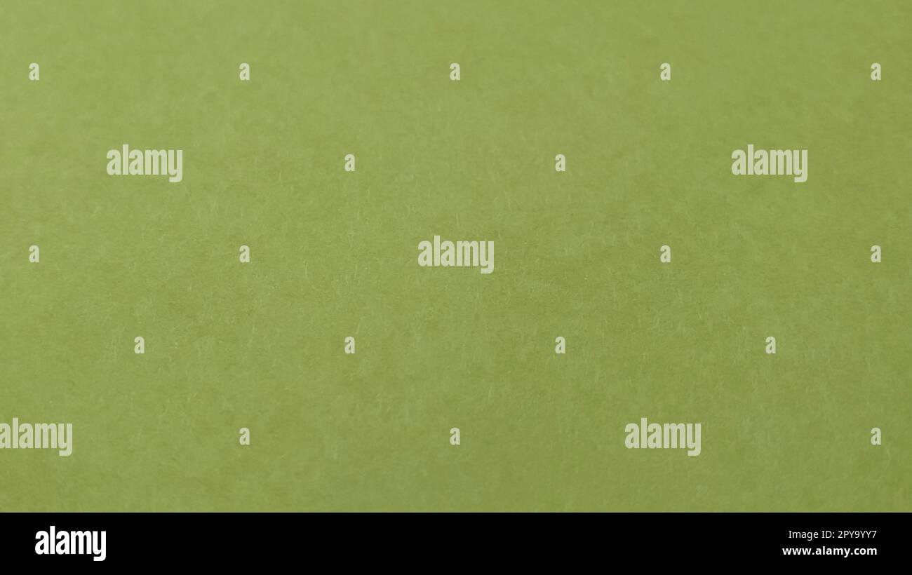 A sheet of light green paper. Calm green with fine paper texture ...