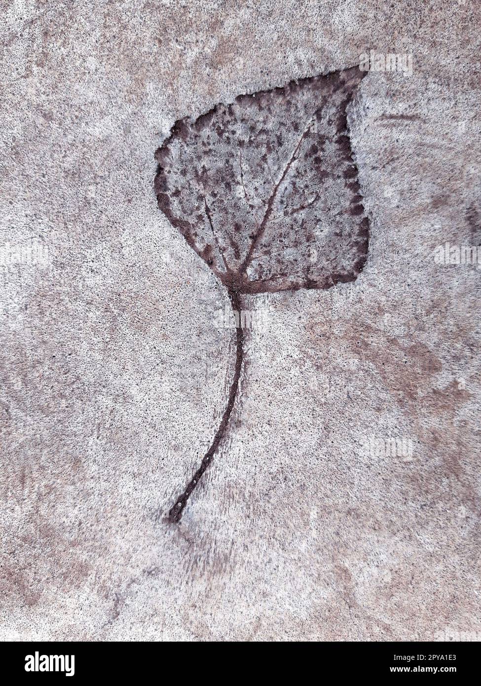 Concrete background images hi-res stock photography and images - Alamy