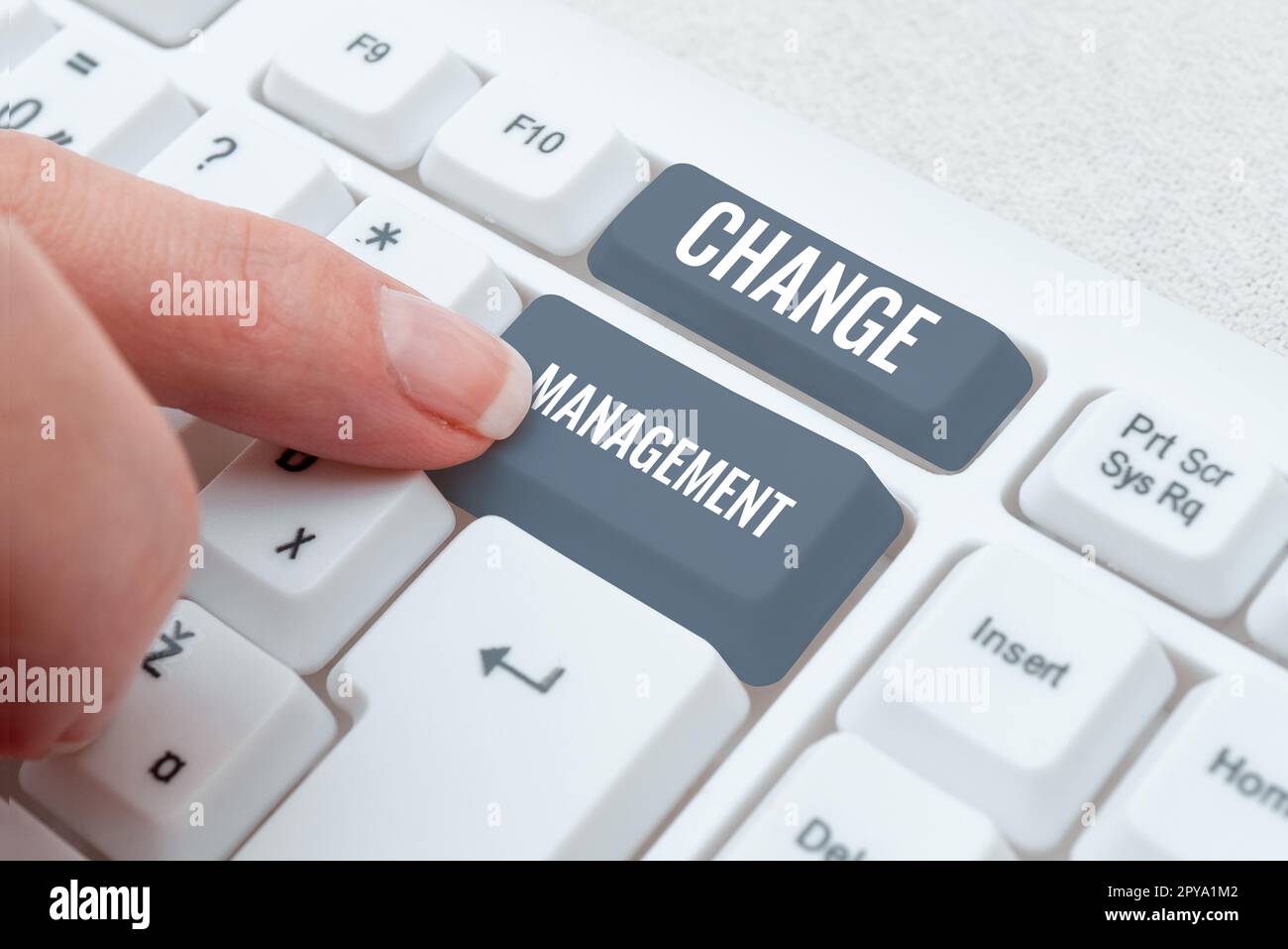 Conceptual caption Change Management. Business overview Replacement of ...