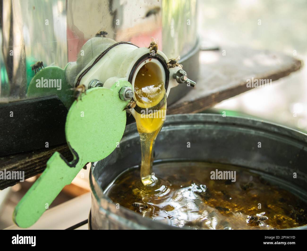 honey production and bees keeping - Beekeeping concept Stock Photo - Alamy