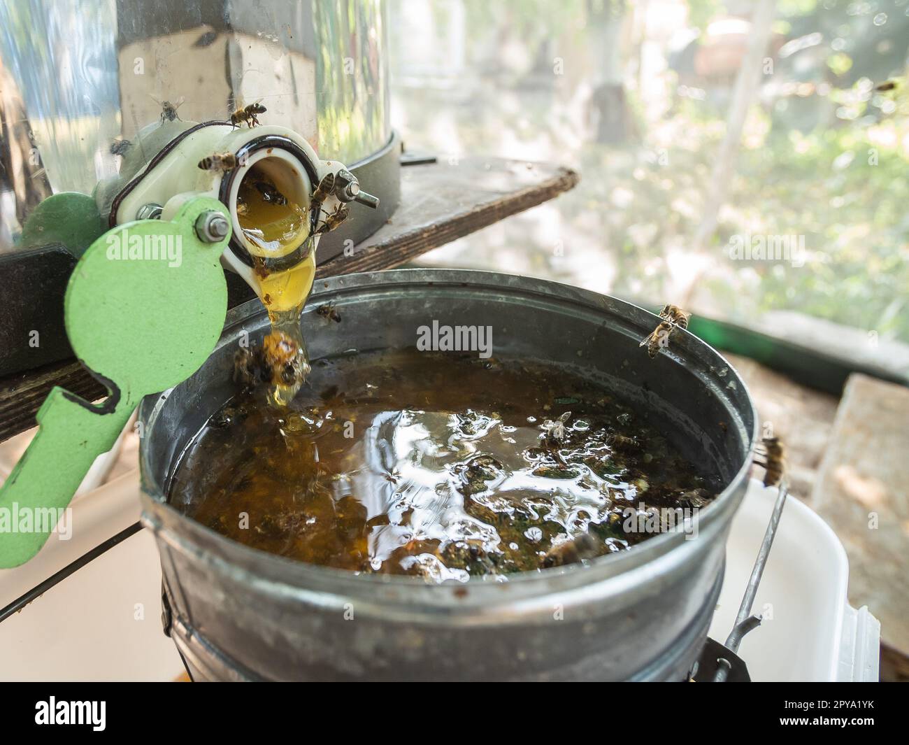 honey production and bees keeping - Beekeeping concept Stock Photo - Alamy