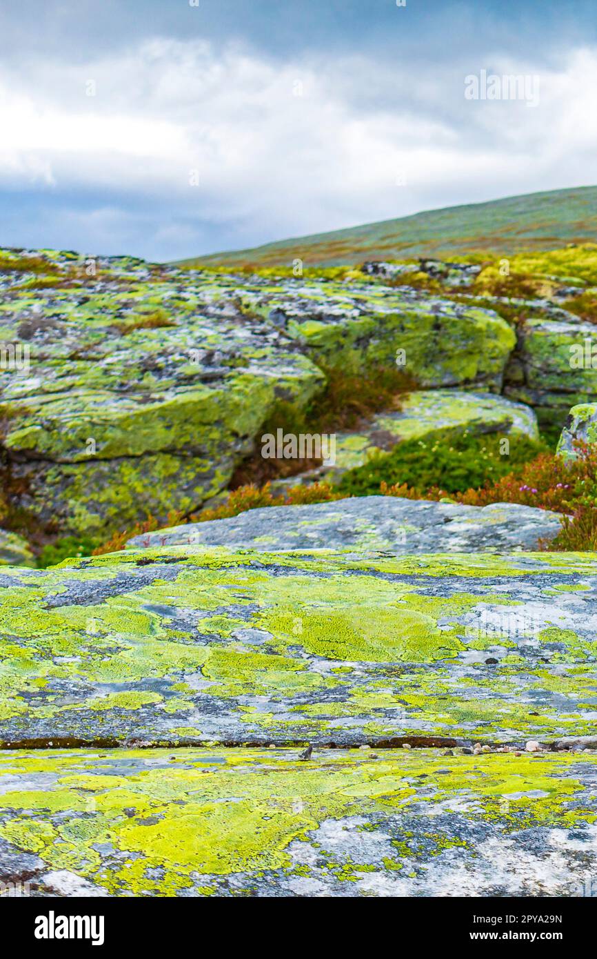 Gorge rocks cliff and waterfall river Rondane National Park Norway ...