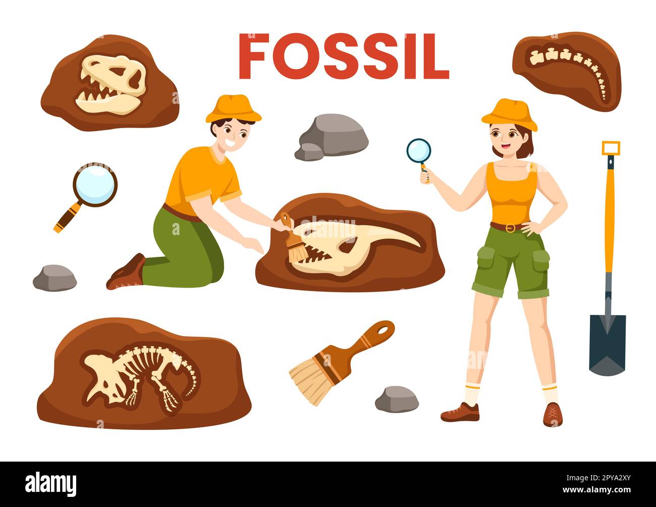 Fossil Illustration with Archaeologists Finds Dinosaurs Skeletons on ...