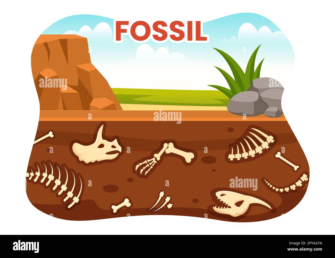 Fossil Illustration with Archaeologists Finds Dinosaurs Skeletons on ...