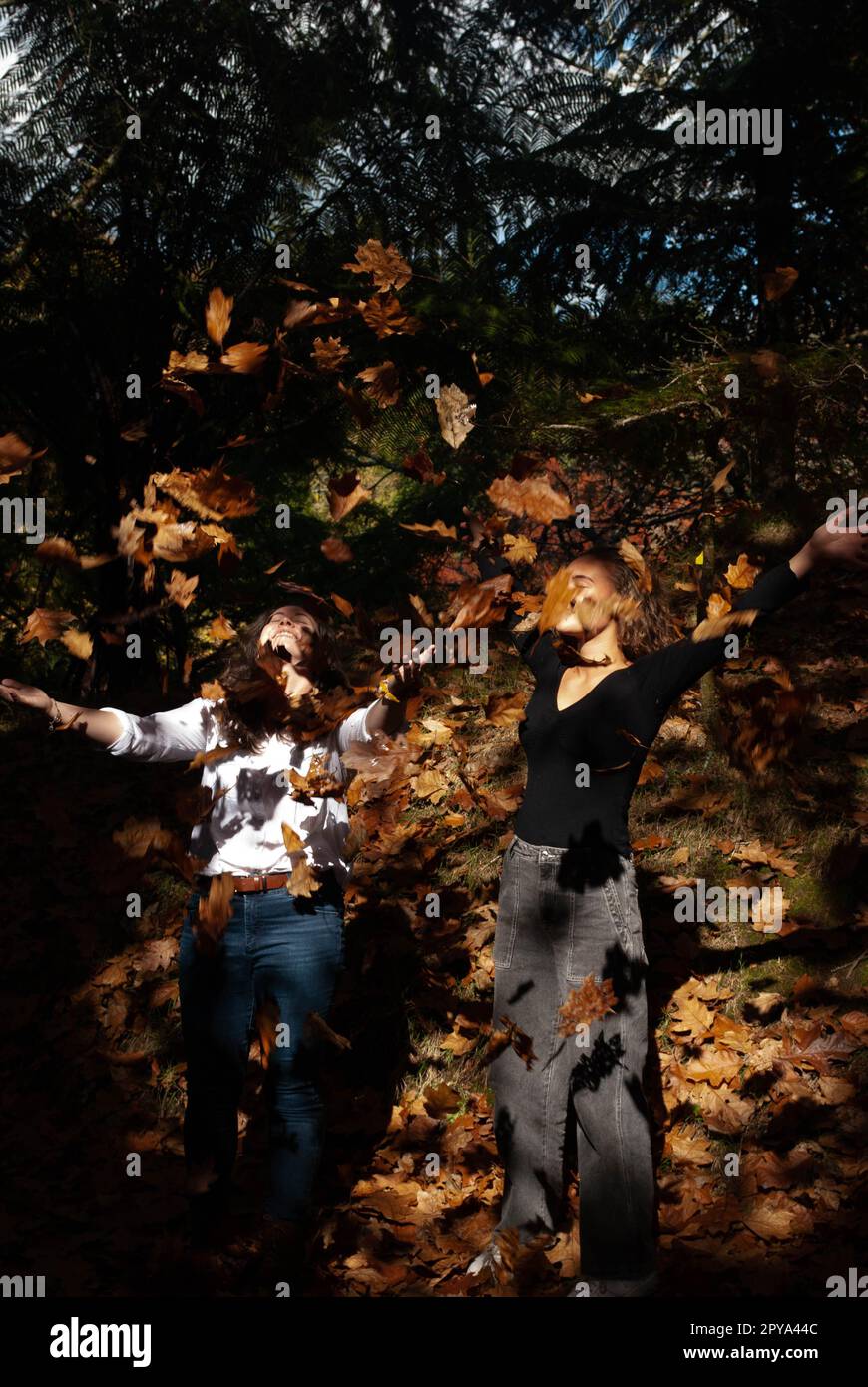 Leaves with faces hi-res stock photography and images - Alamy