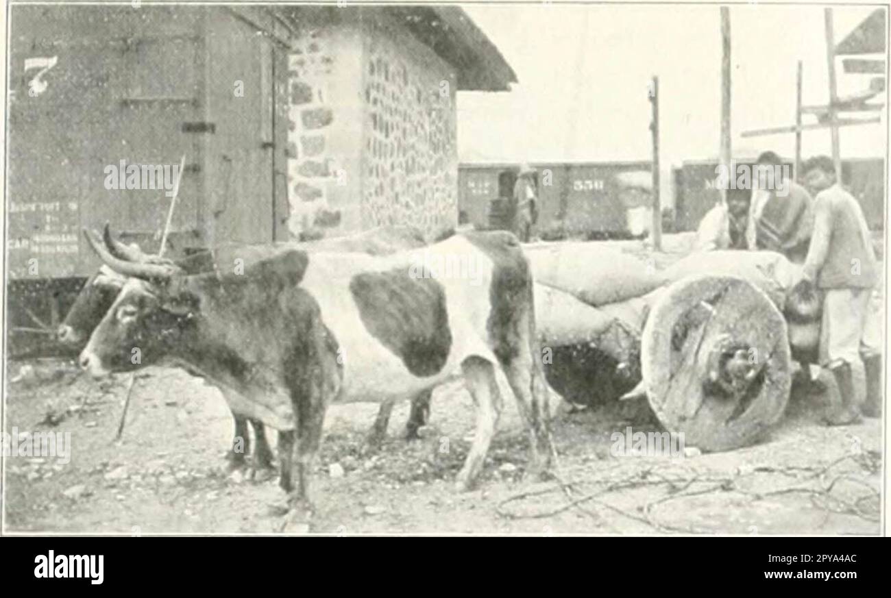 "India rubber world" (1899 Stock Photo - Alamy
