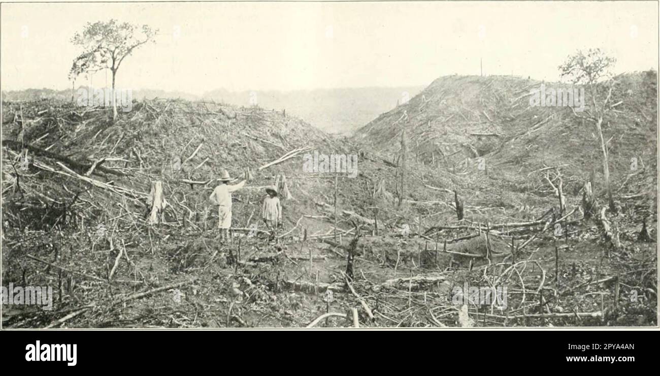 "India rubber world" (1899 Stock Photo - Alamy