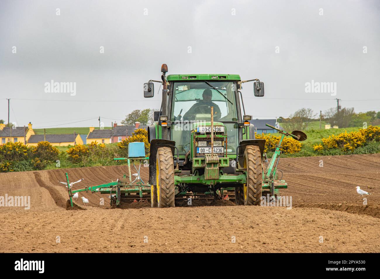 row beet seeder planting beet near Butlerstown, Co. Cork Stock Photo ...