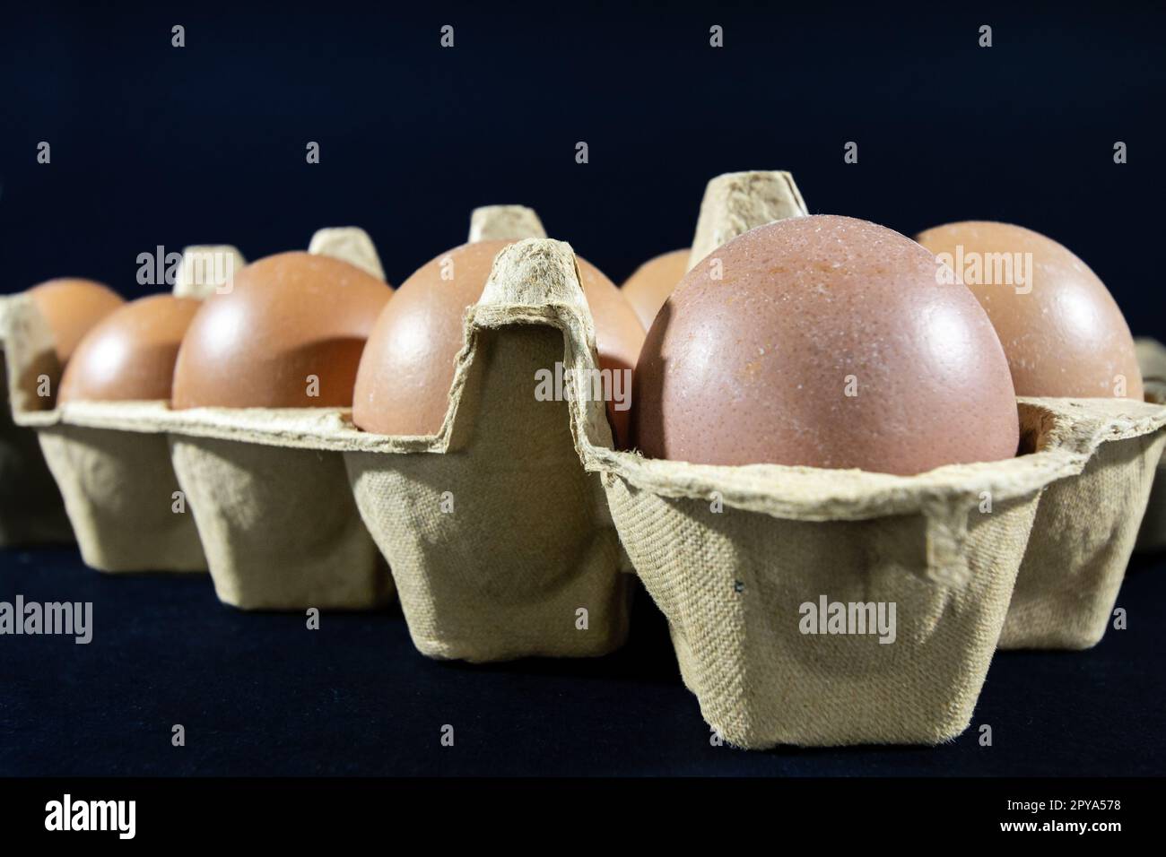Picture of many eggs in a cardboard box, raw, uncooked, organic ...