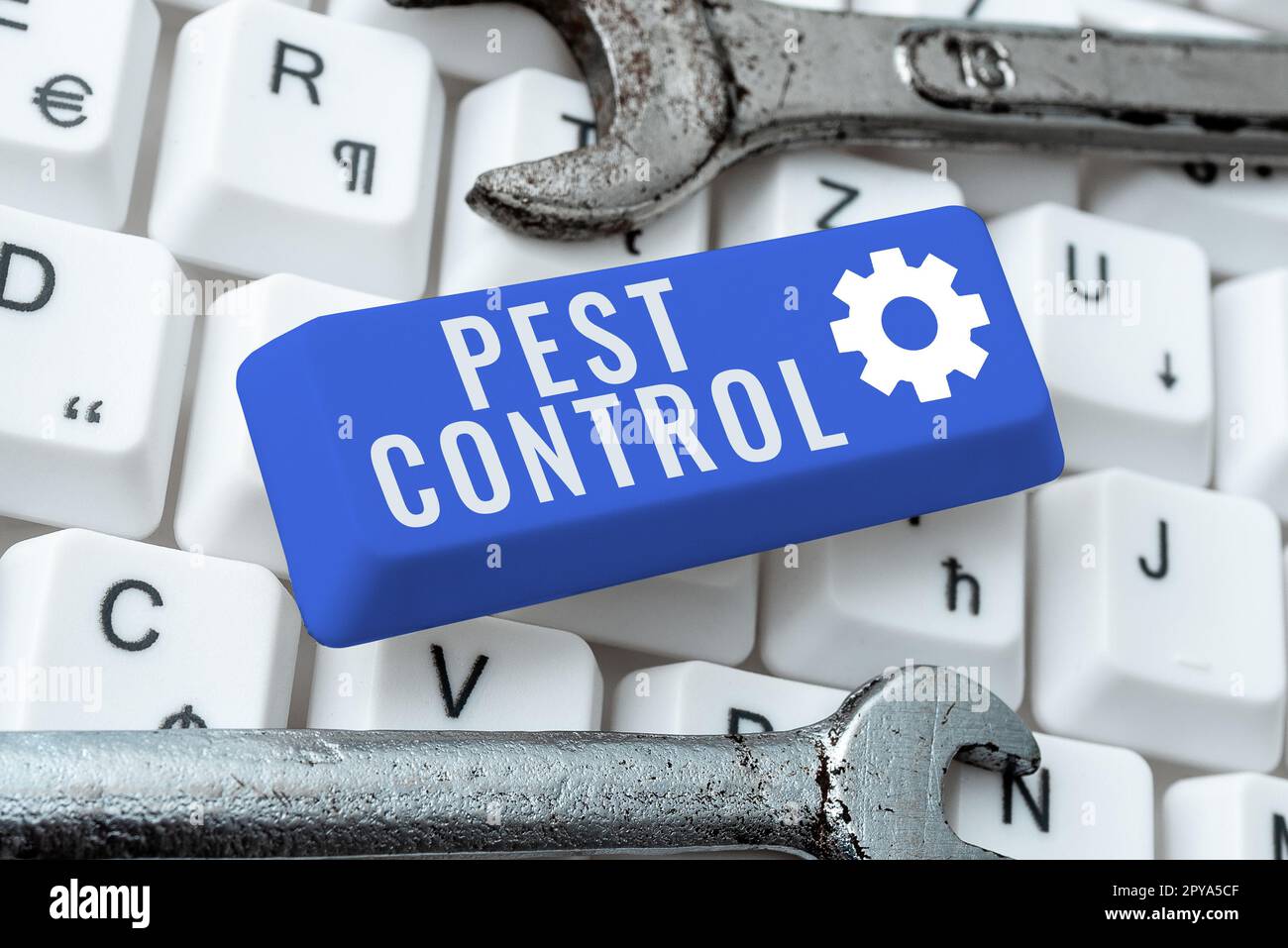 Conceptual caption Pest Control. Word Written on Killing destructive ...