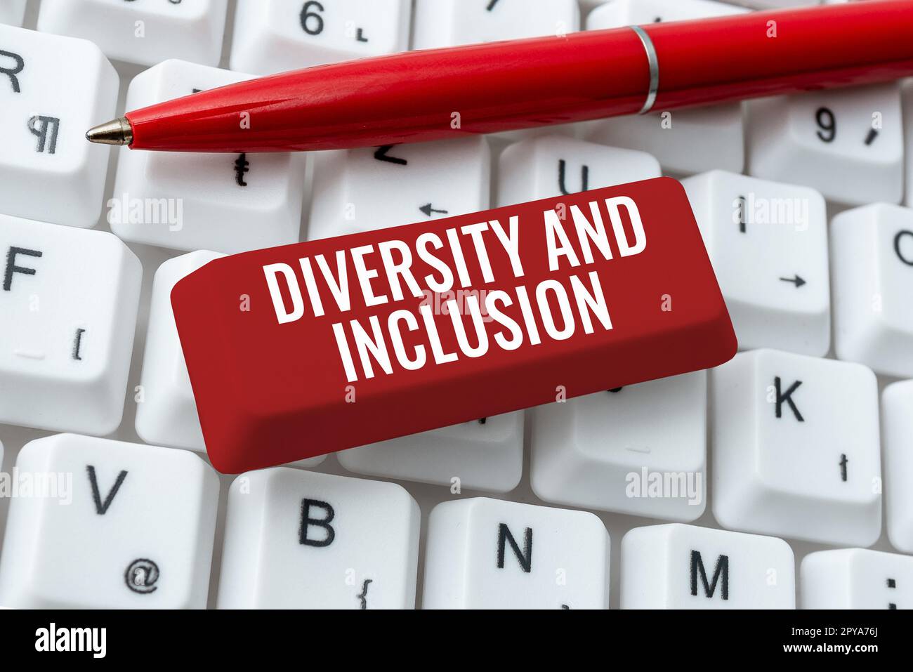 Text showing inspiration Diversity And Inclusion. Business idea range ...