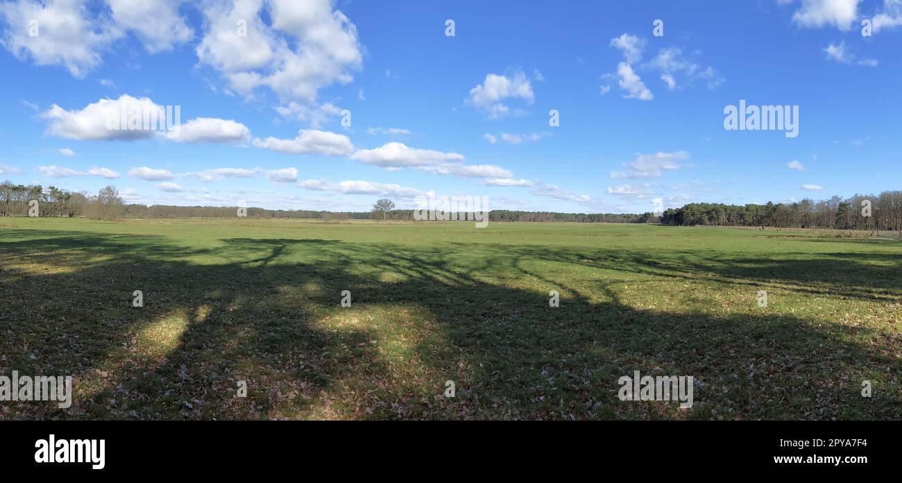 Open grass field in Kalmthout Heath - De Zoom nature reserve Stock ...