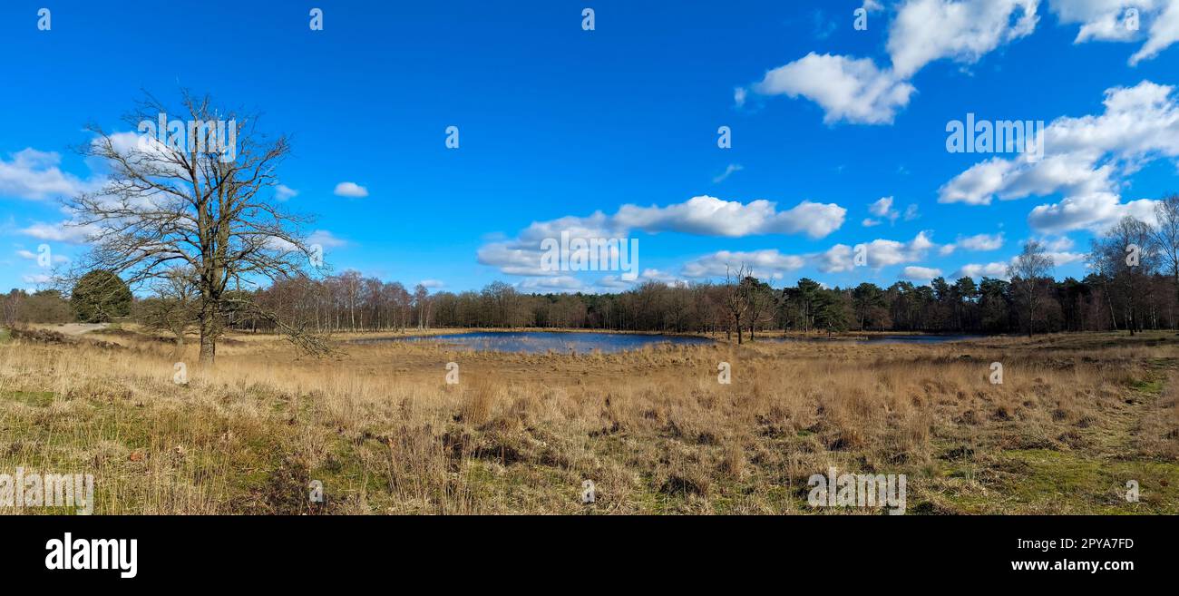 Kalmthout hi-res stock photography and images - Alamy