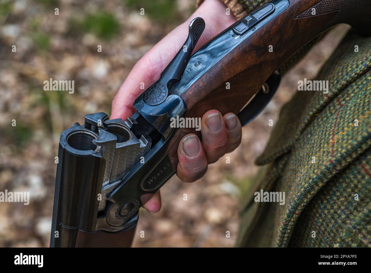 Open shotgun shells hi-res stock photography and images - Alamy
