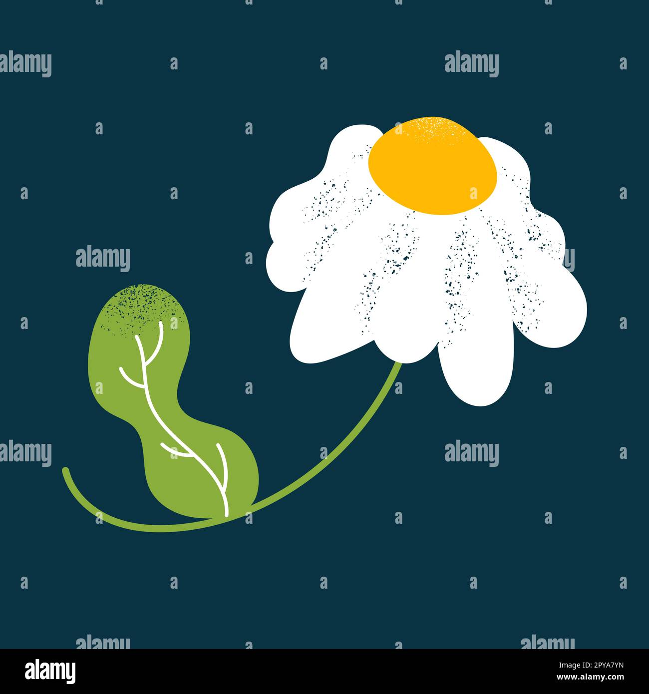 Hand drawn flower with rounded shapes and textures. Vector illustration ...