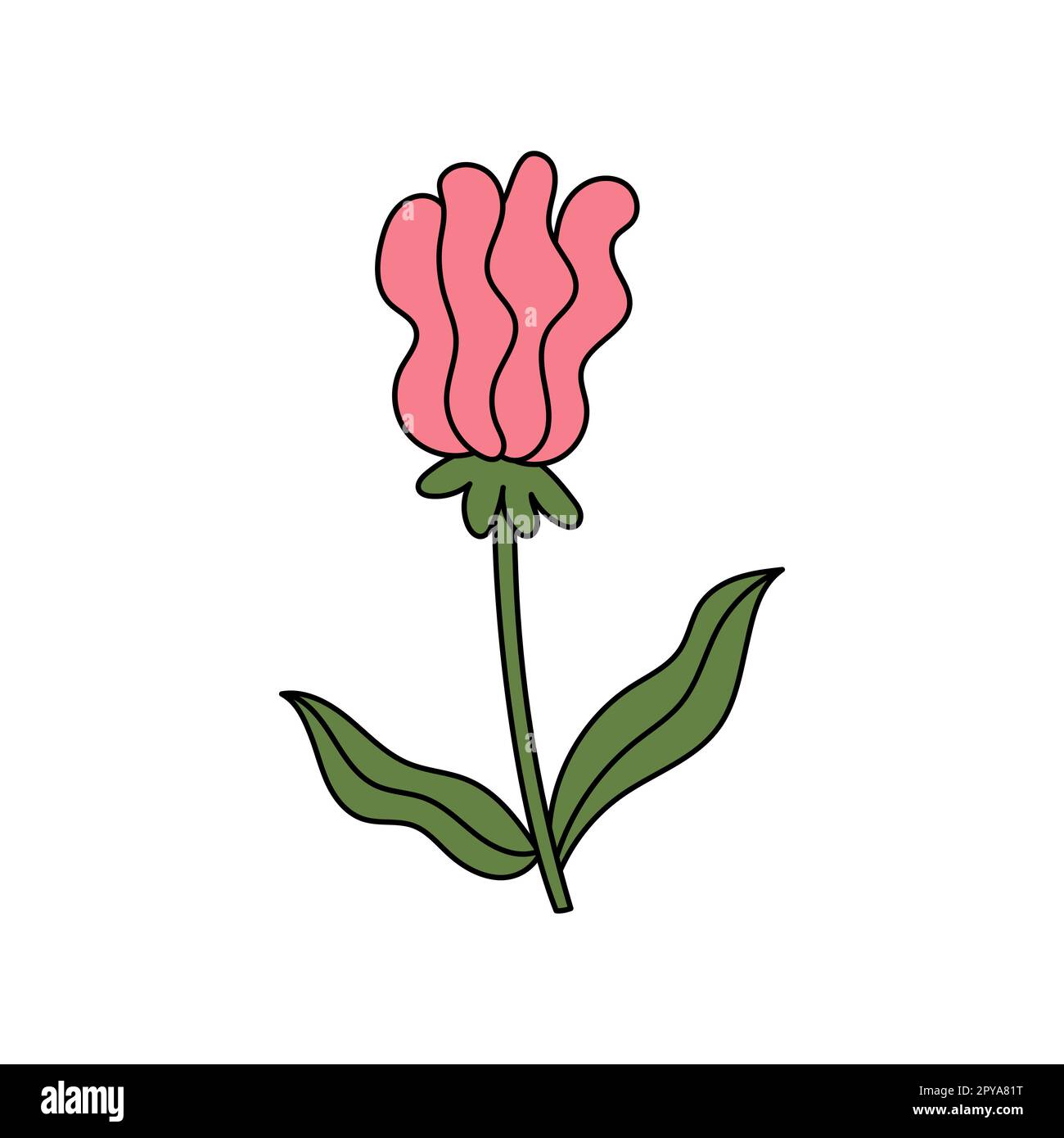 Sinuous outline hi-res stock photography and images - Alamy