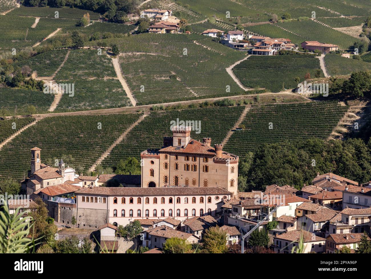 Nebbiolo grape in the piedmont hi-res stock photography and images - Alamy