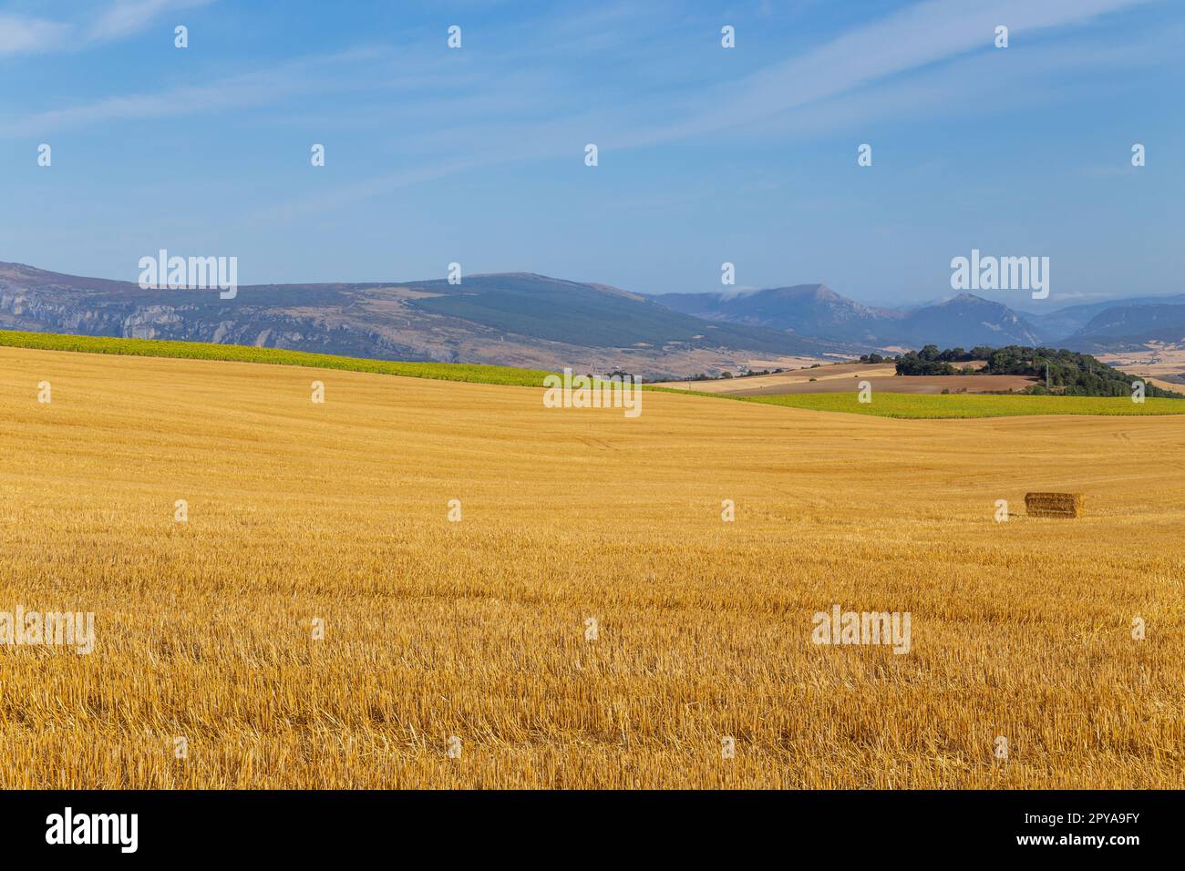 Fallow cropland hi-res stock photography and images - Alamy