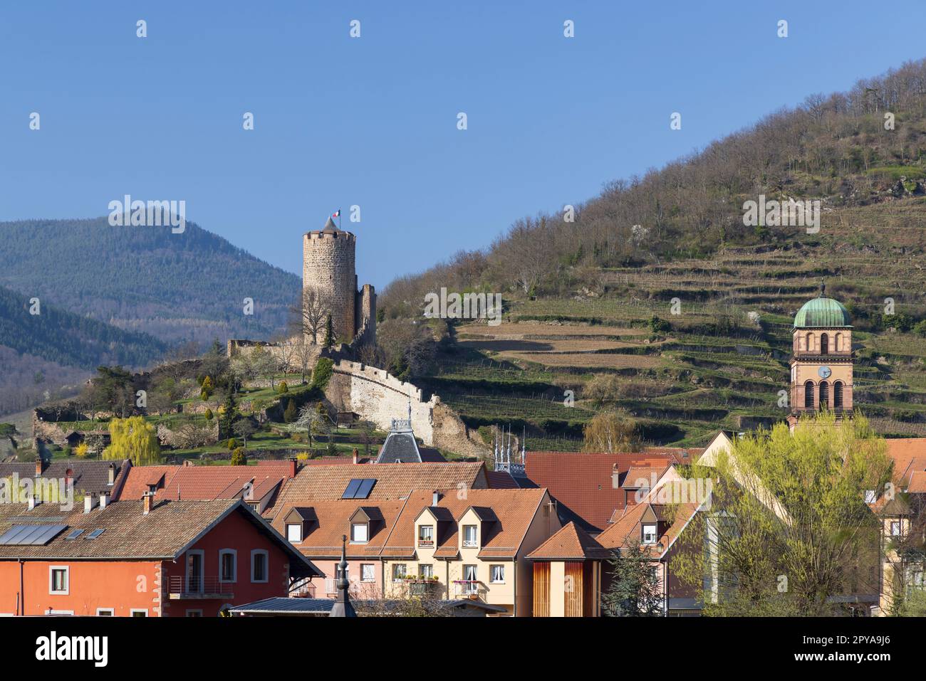 Kaysersberg castle, Chateau de Kaysersberg, Alsace, France Stock Photo ...