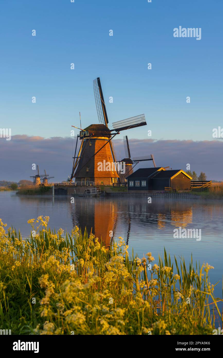 Traditional Dutch windmills in Kinderdijk - Unesco site, The ...