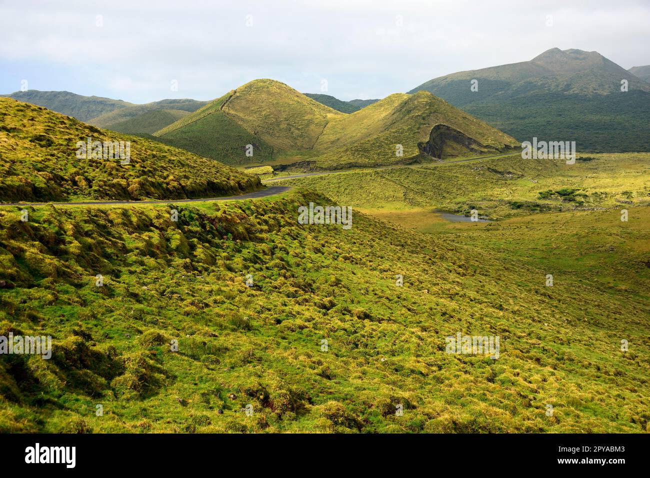 Landscape near Cabeco do Caveiro, Highlands, Pico, Azores, Portugal ...
