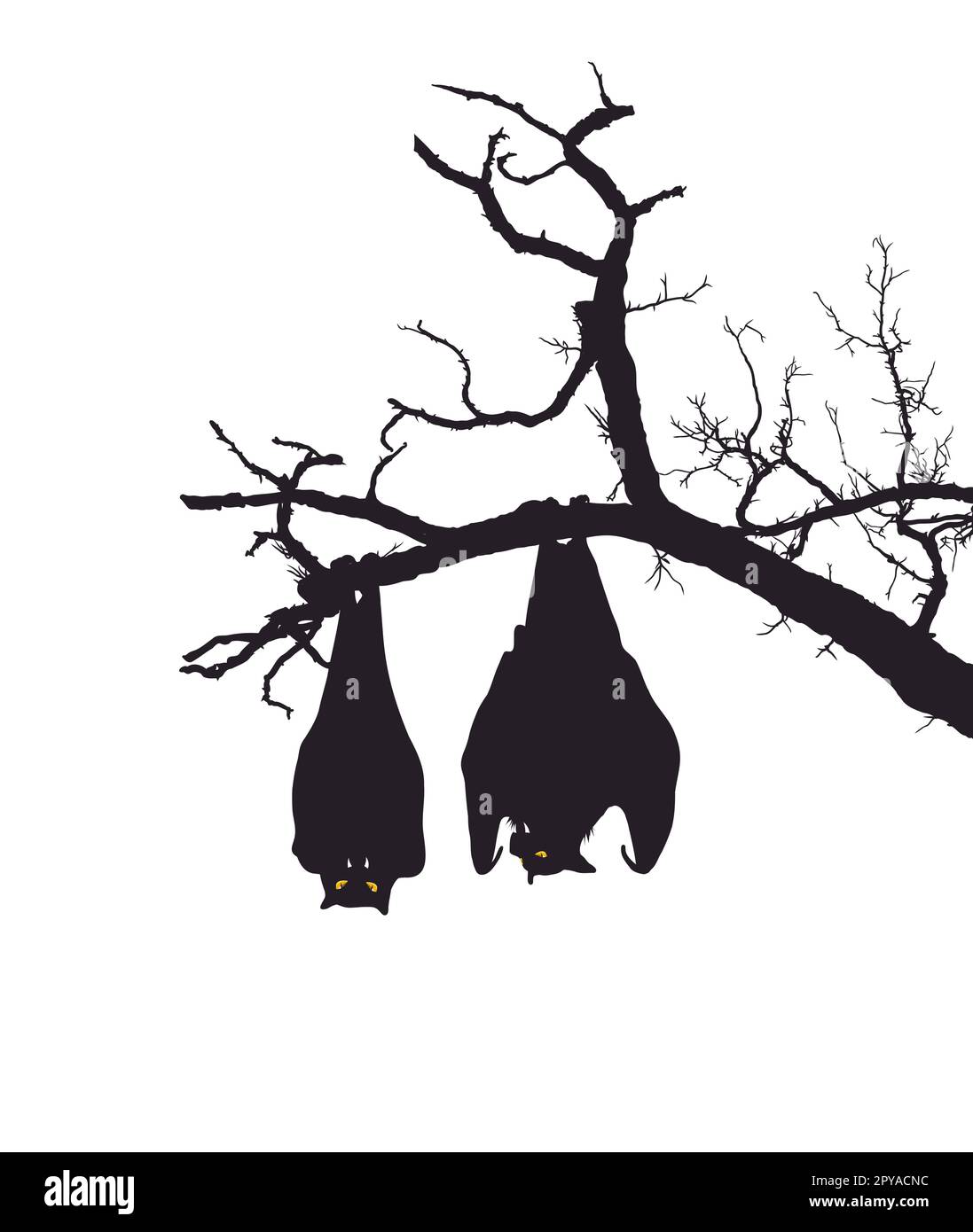Sleeping bats on brunch of tree. Silhouette of bat Stock Vector Image ...