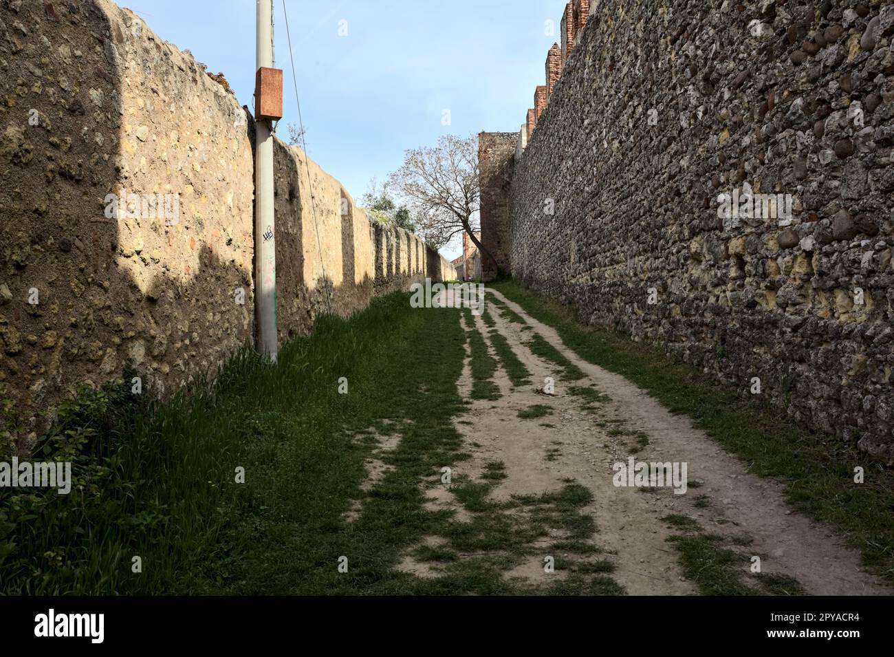 Tree in a dirt path between boundary walls in a park by the hillside ...