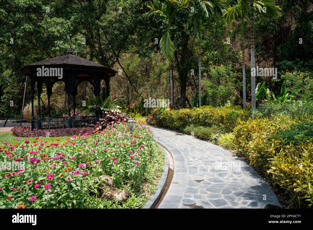 A picturesque pathway lined with lush foliage and trees, leading up to ...